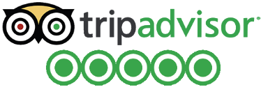 Zentasy Aruba – Most Popular Vacation Rental Villa in Aruba with Ocean ...